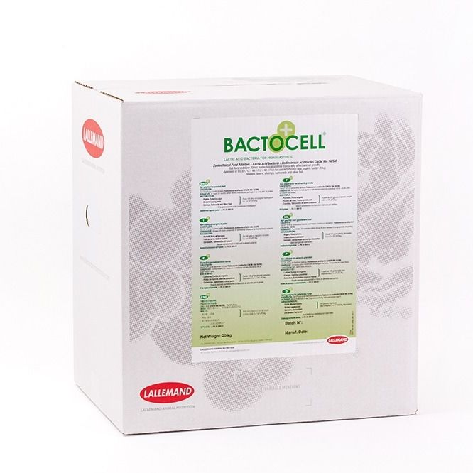 Acidifier feed additive - BACTOCELL - Lallemand Animal Nutrition ...