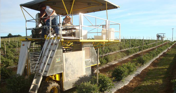 Fruit harvester machine - ORXL - Littau Harvester Inc. - self-propelled ...