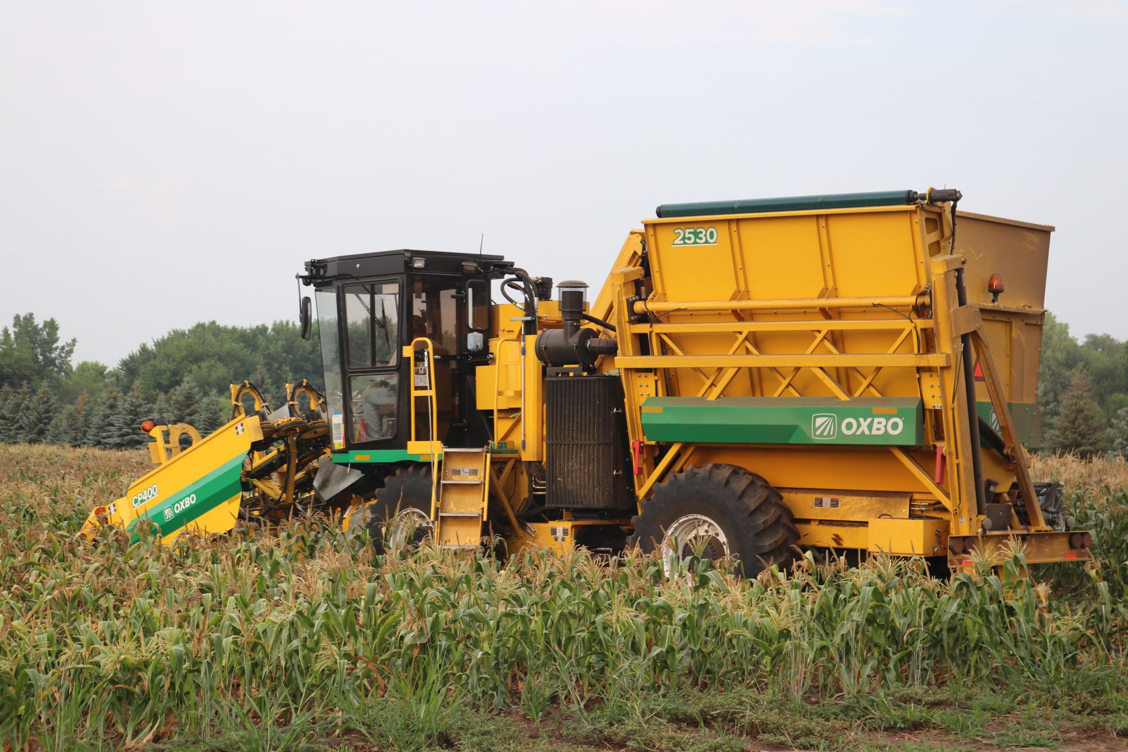 Spinach harvester machine - 2530 - Oxbo International Corporation ...