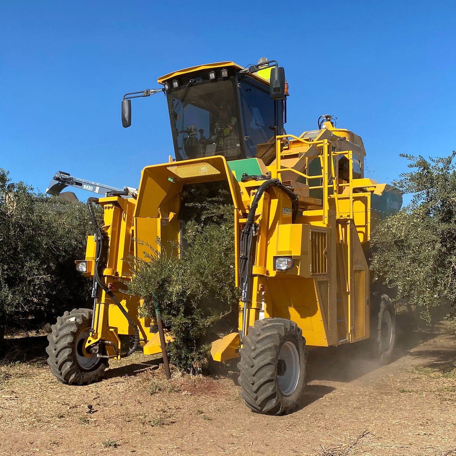 Olive harvester machine - 6430 - Oxbo International Corporation - self ...