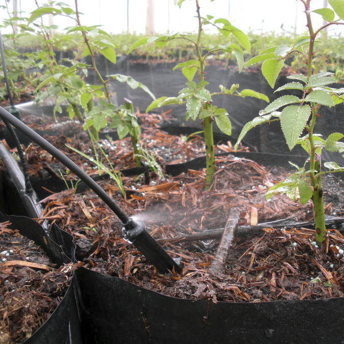 Spray stake - Spray Stakes - Senninger Irrigation, Inc.