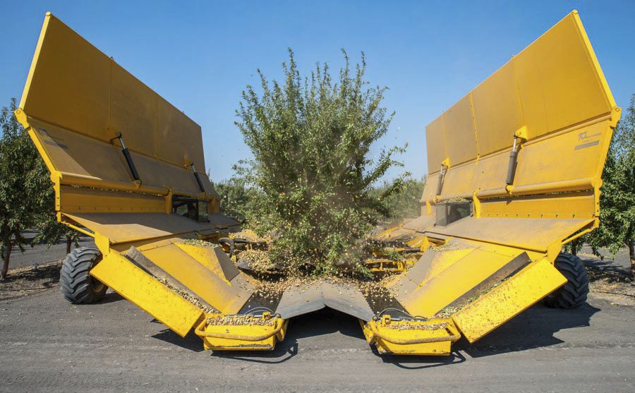 Almond tree shaker - Twin D T4 - TOL Incorporated - self-propelled ...