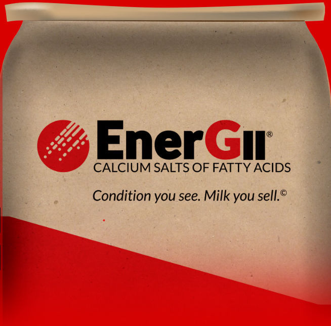Animal feed supplement - EnerGII - Virtus Nutrition LLC - cattle ...
