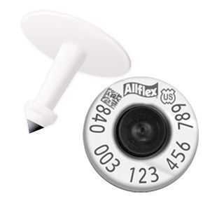 Pig ear tag - HDX - Allflex USA, Inc. - cattle / electronic