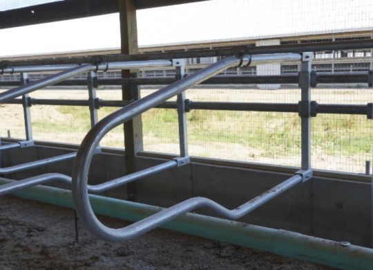 Cow cubicle - Y2K - Artex Barn Solutions LTD.