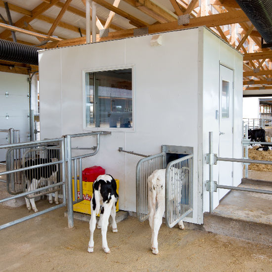 Calf feeding system - Calf Star - stationary / programmable / liquid feed
