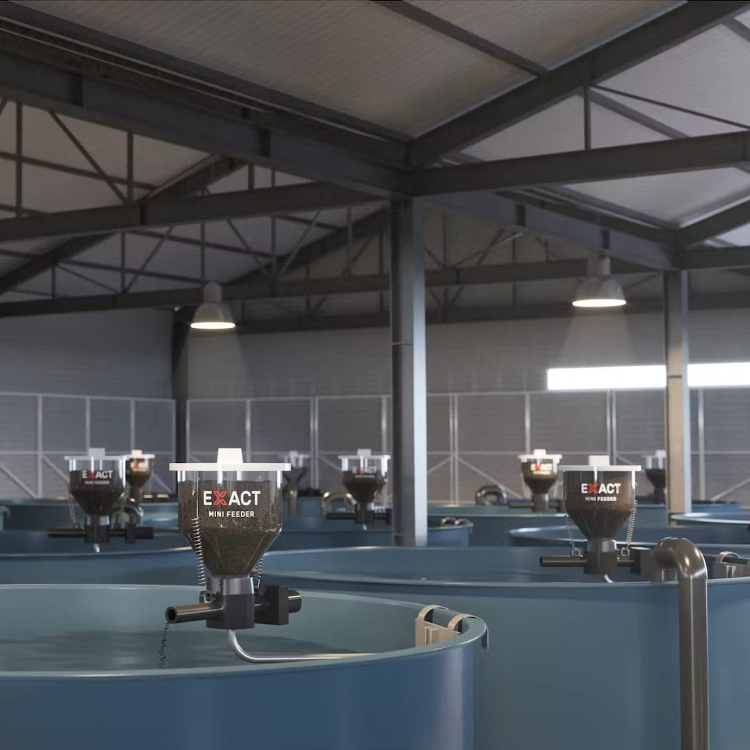 Hopper feeding system - Exact Mini - Storvik Aqua AS - for aquaculture ...