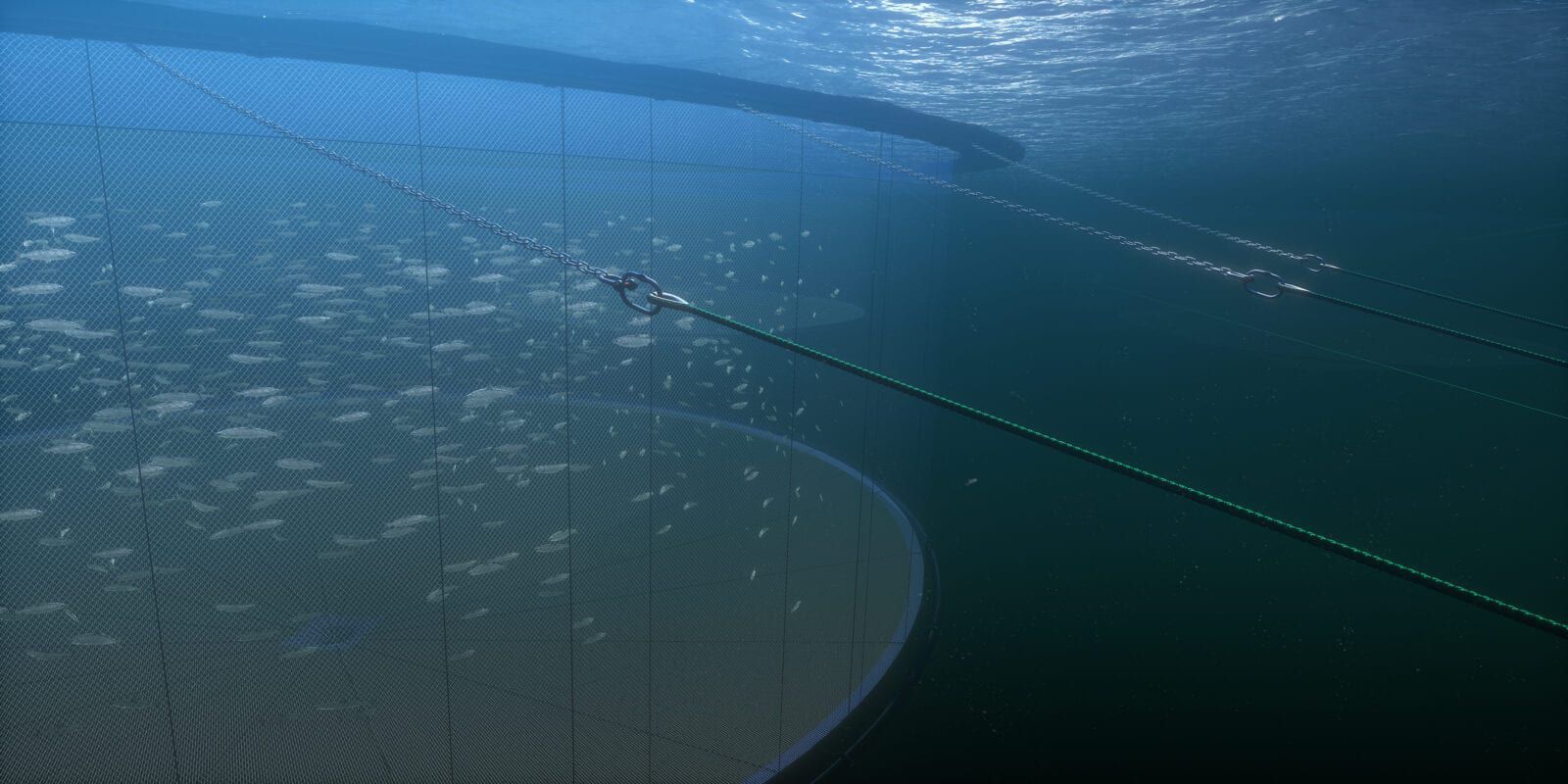 Basin separation aquaculture net - Vónin - nylon / Dyneema® / polyethylene