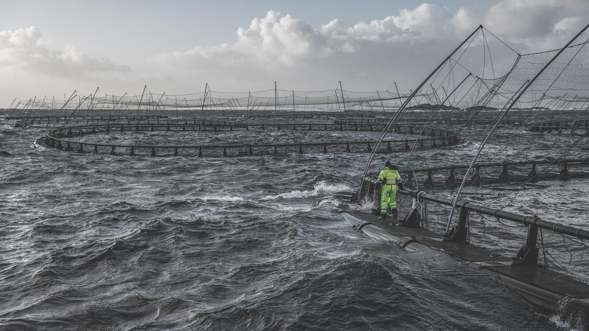 Floating fish cage - Polarcirkel 500RS Combi - AKVA group - steel / round