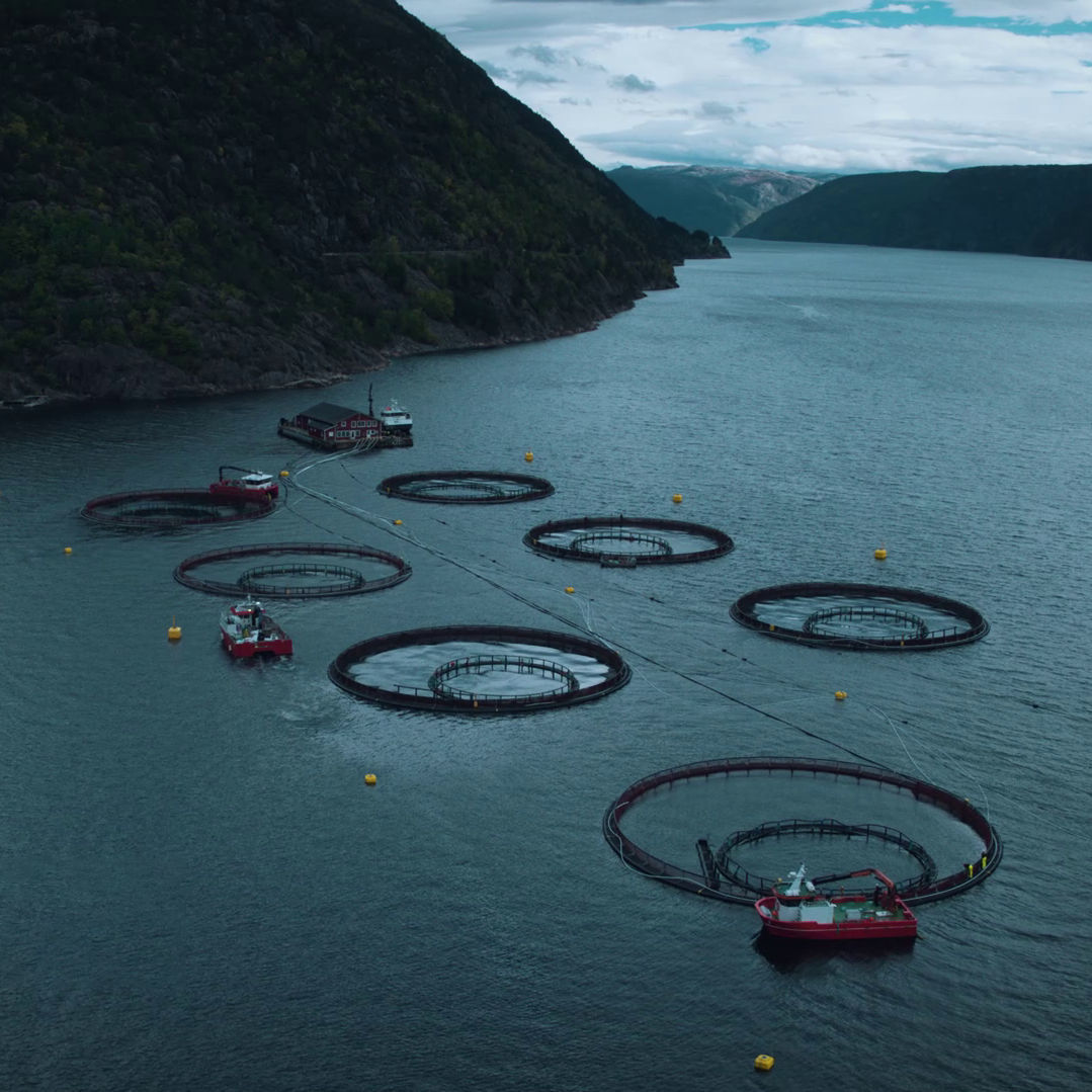 Anti-predator aquaculture net - Tubenet™ - AKVA group - for basin ...