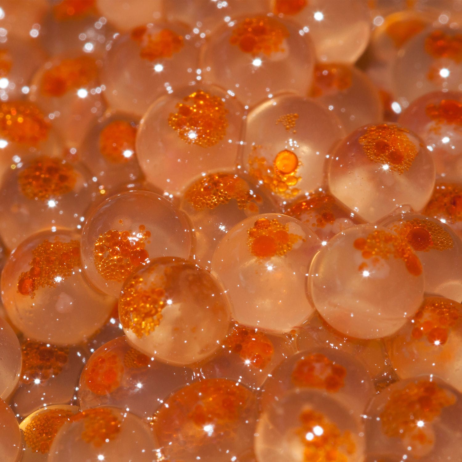 Fish feed supplement - Aller Aqua - for animals / protein / vitamin