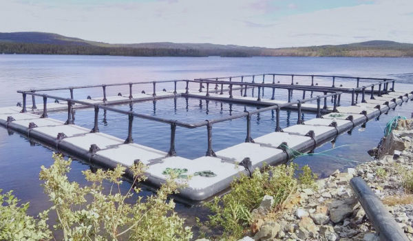 Floating fish cage - Mørenot Aquaculture AS - square