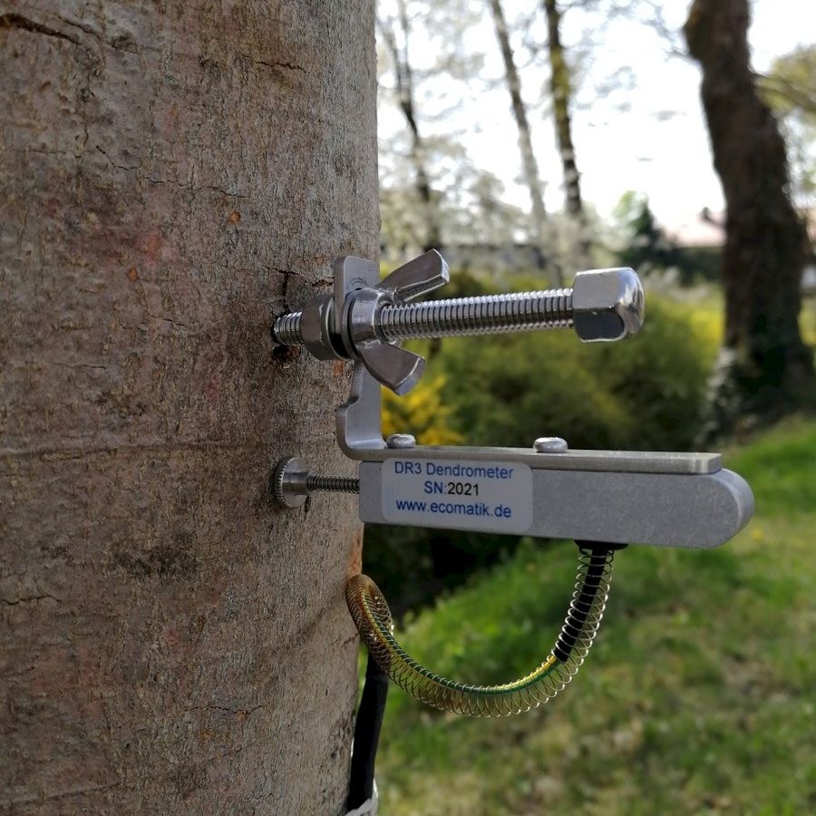 Stem dendrometer - DR series - Ecomatik - tree / with data logger
