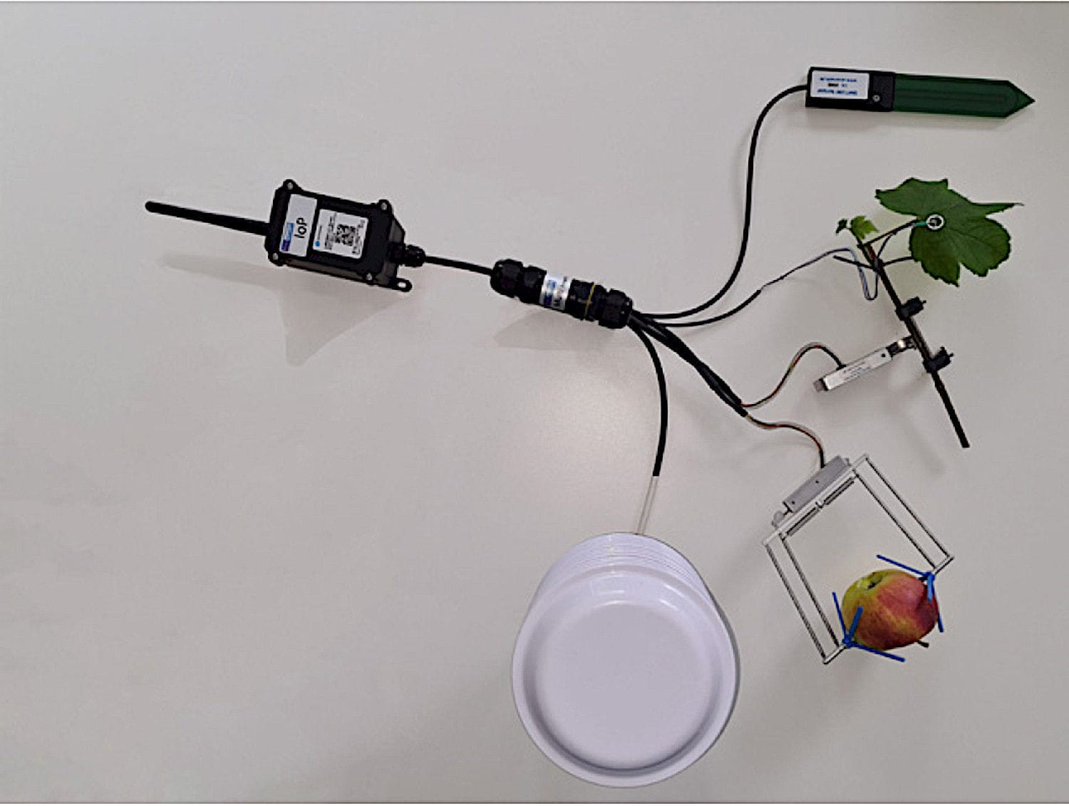 Plant monitoring system - IoP - Ecomatik - temperature / smart