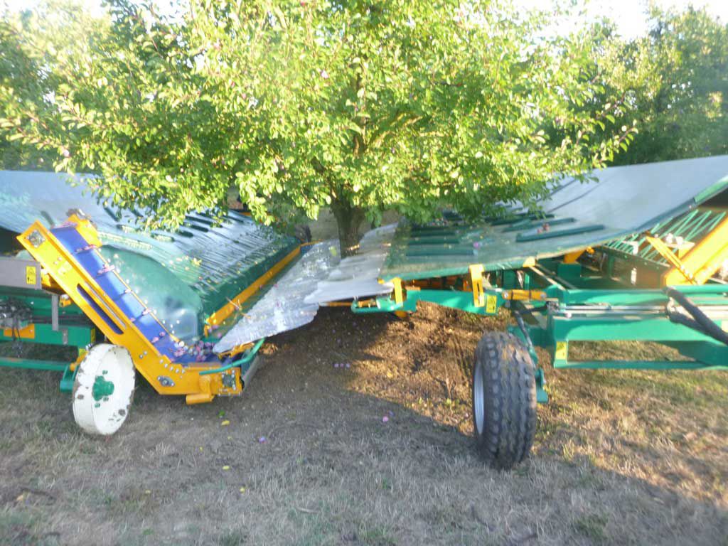 Fruit tree shaker - M08 - Somaref - towed / hydraulic / with catch frame
