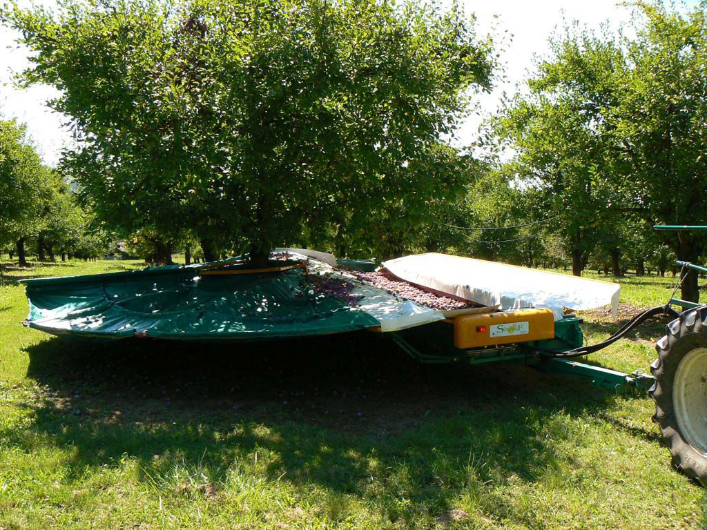 Plum tree shaker - M09 - Somaref - towed / hydraulic / with catch frame