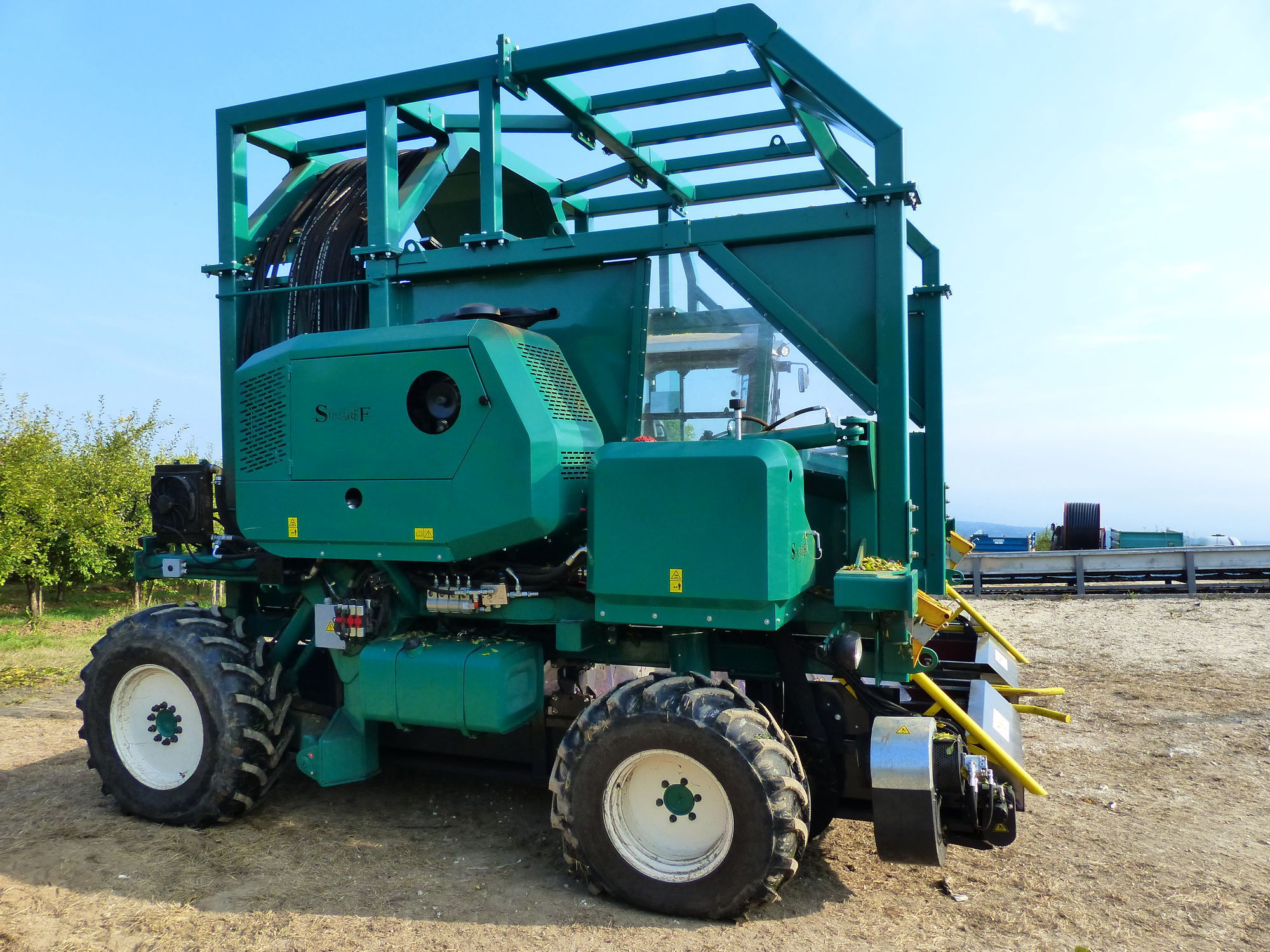 Plum harvester machine - M16 - Somaref - self-propelled / straddle