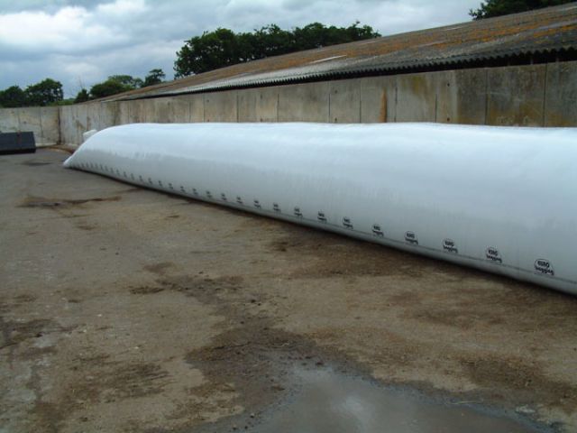 Silo bag - Euro Bagging