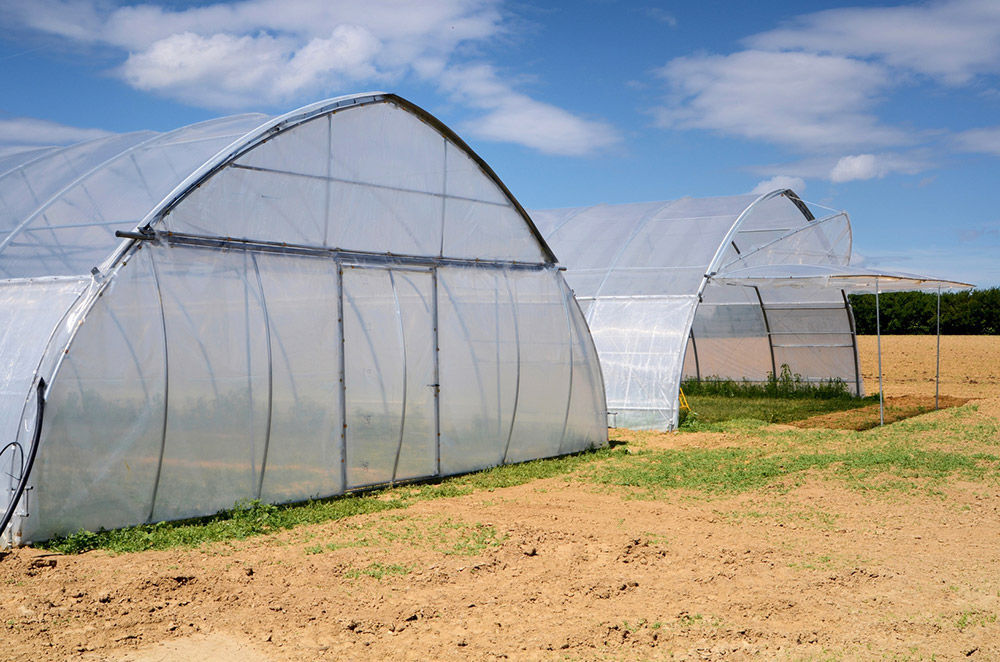 Tunnel type greenhouse - Tunnelart PC - Europrogress - plastic / steel ...