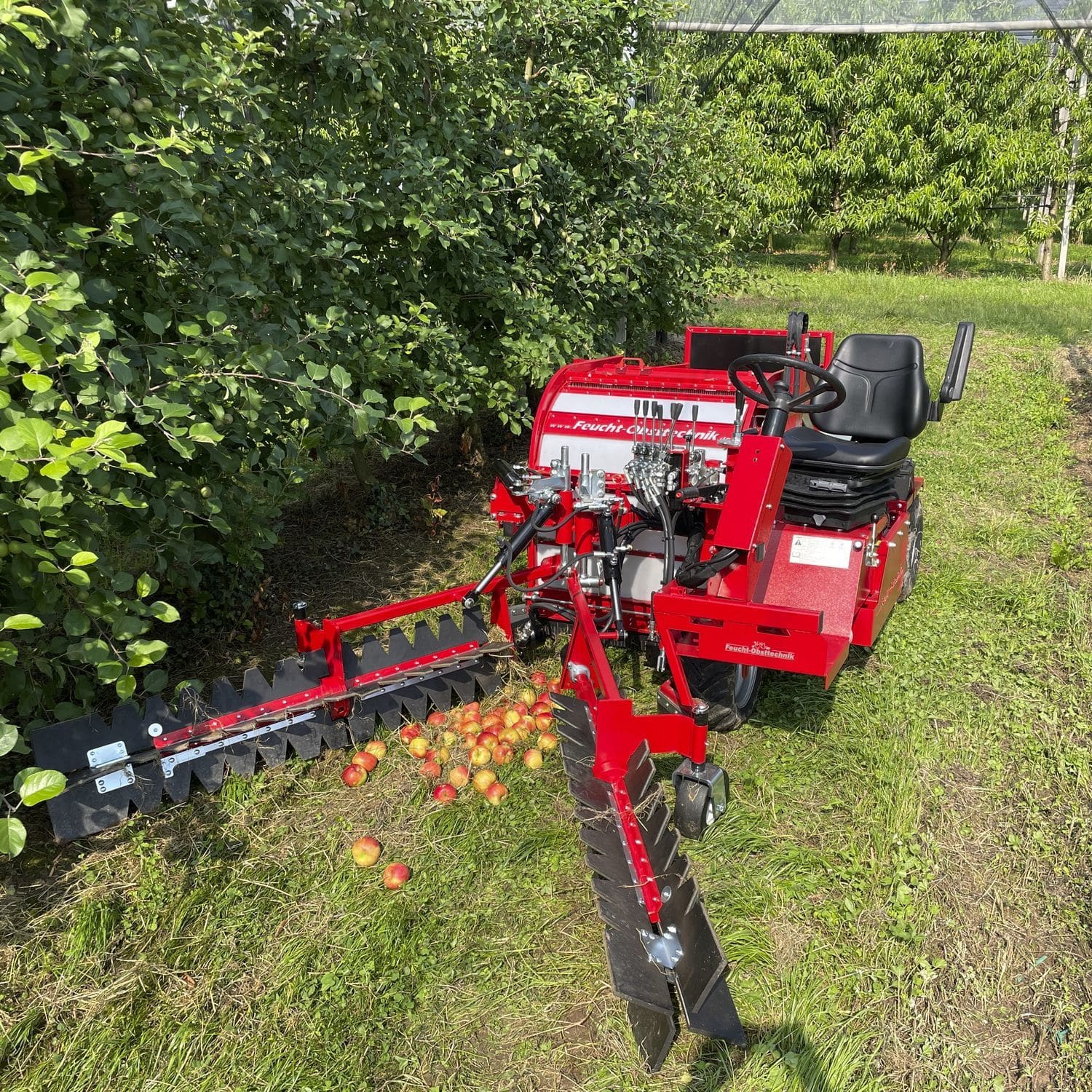 Hazelnut picking machine - OB 80 R - FEUCHT Obsttechnik GmbH - walnut ...