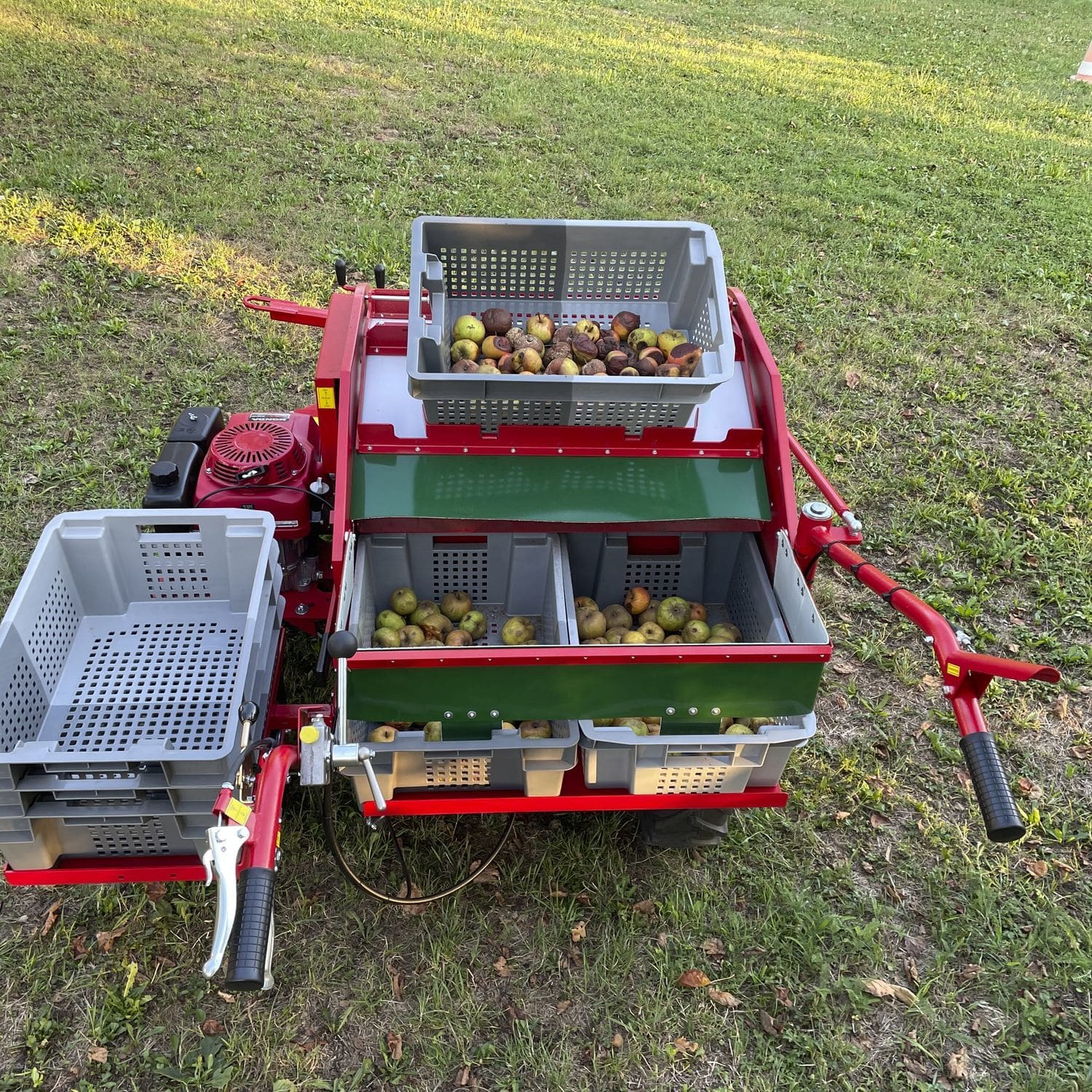 Fruit picking machine - OB 80 Hydro - FEUCHT Obsttechnik GmbH - walk-behind