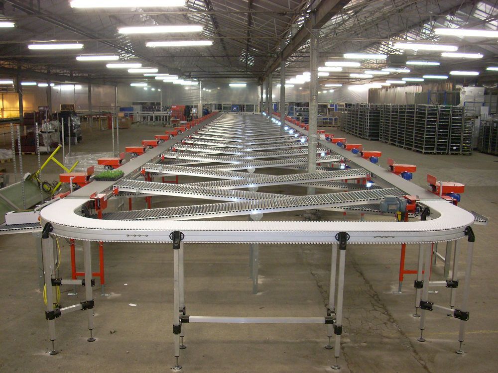 Tray conveyor - FL’EX Delivery system for trays - Flier Systems - belt