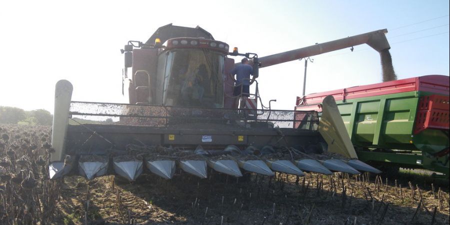 Sunflower harvesting header - Idass - rigid / auger