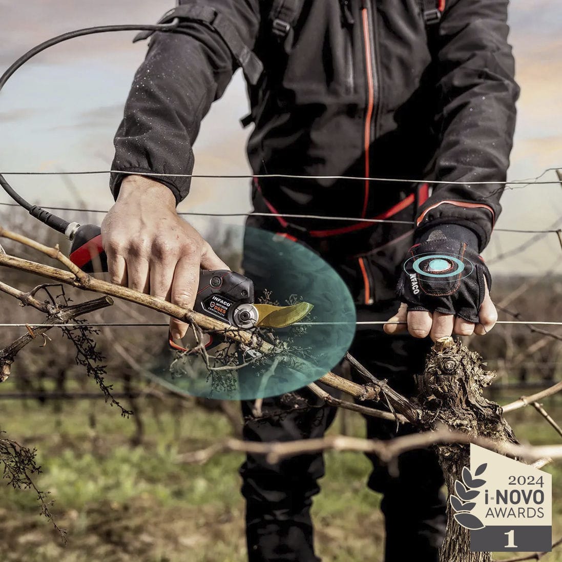 Contactless heightened security device - DSESC - INFACO - for pruning ...