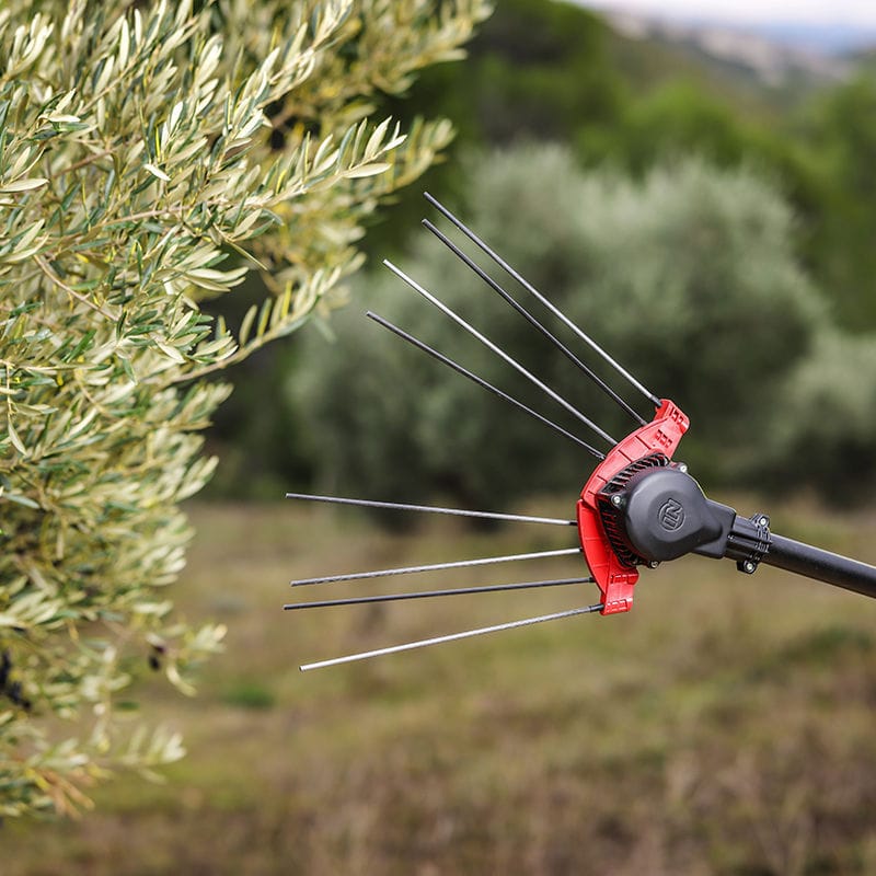 Electric olive rake - V5000 - INFACO