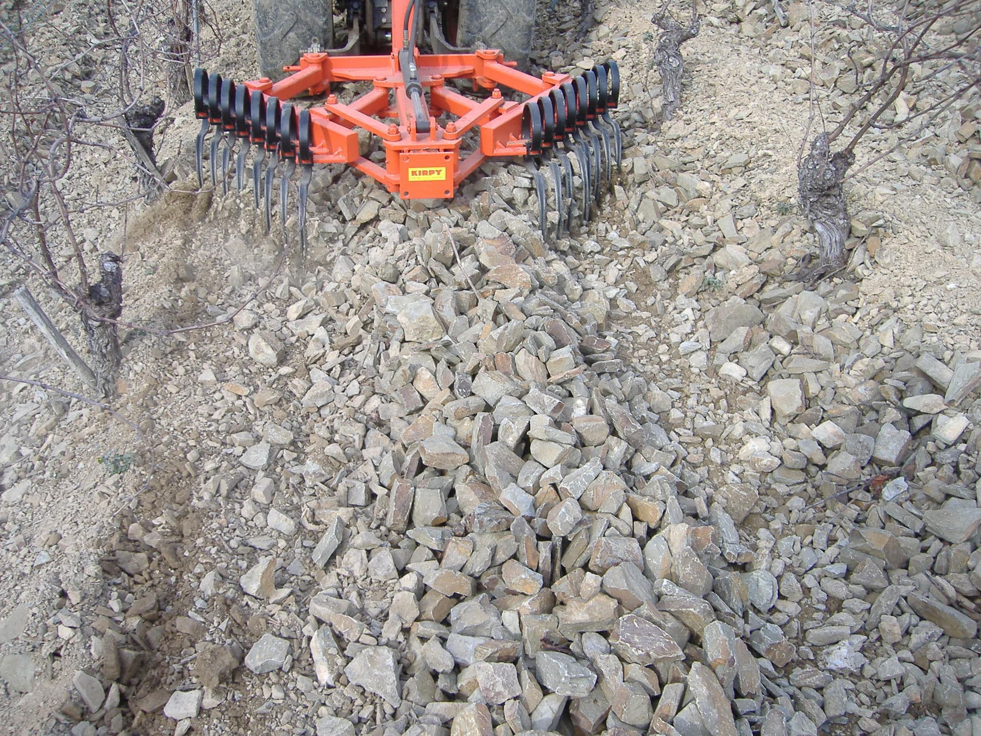 Vineyard rake - CAV 20 / 24 - KIRPY - stone / rigid / center delivery