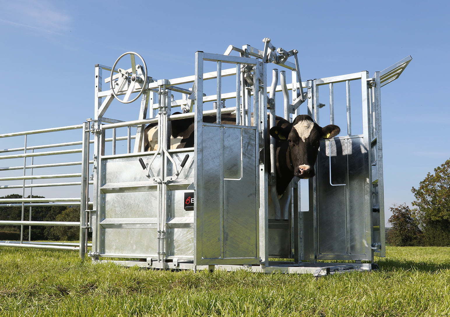 Cattle squeeze chute - Ambassador - LM Bateman