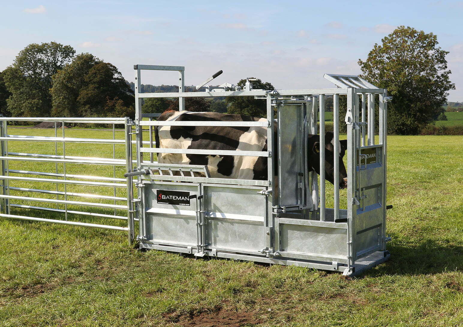 Cattle squeeze chute - Hybrid - LM Bateman