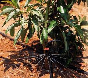 Flow-regulated micro sprinkler / pressure-compensated - Dan-Jet PC ...