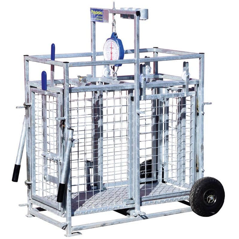 Sheep scale - pg1020304 - Pasdelou - analog / automatic / mobile