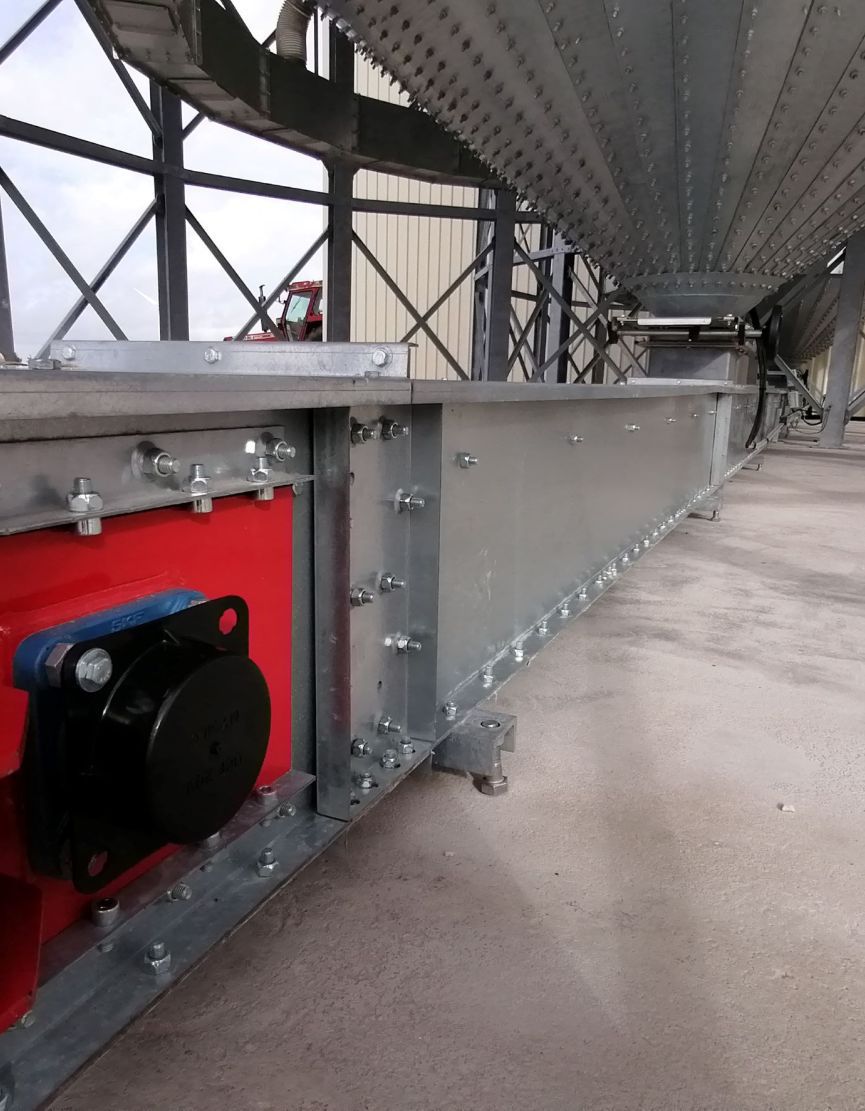 Grain conveyor - Tout Pour Le Grain - chain / inclined