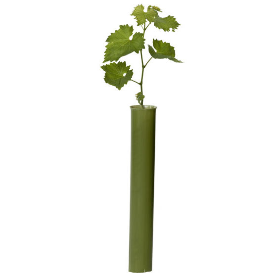 Vineyard grow tube - Ecovine - Tubex