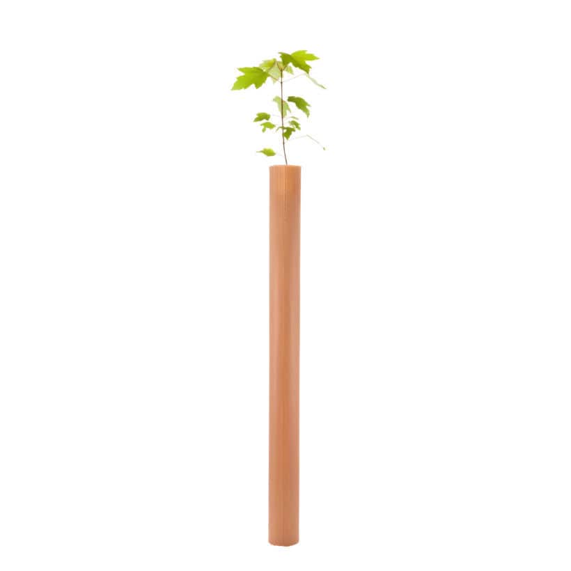 Forestry grow tube - Nature™ - Tubex - roll / 100% recyclable