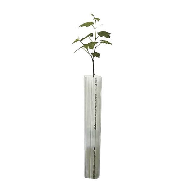 Arboriculture grow tube - Tubex - roll