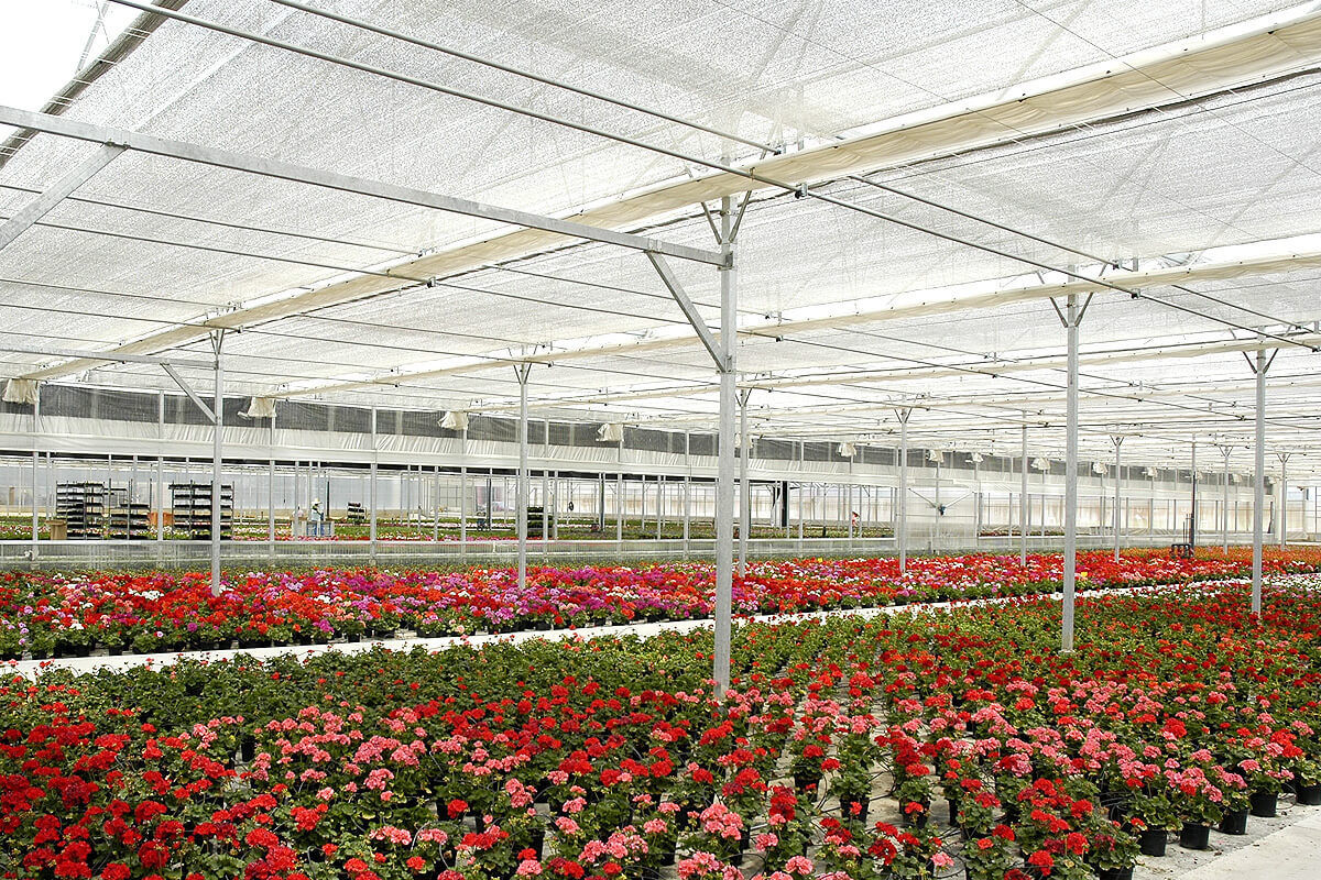 Energy screen system - Ulma - climate-control / for greenhouses