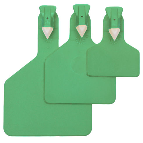 Cattle ear tag - Z1 no snag tags™ - Zee Tags - sheep / plastic