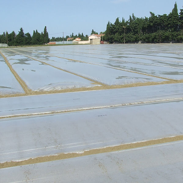 Soil disinfection sheeting - Armando Alvarez Group - plastic / thermal ...