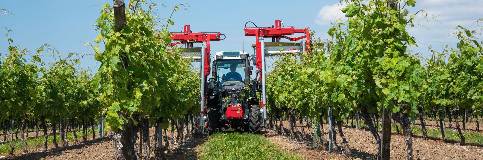 Vineyard vine trimmer - Xview - Binger Seilzug - mounted / hydraulic
