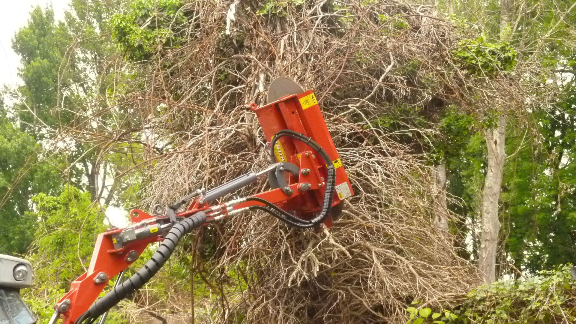 Arboriculture pruning machine - SM series - Bruni - mounted / hydraulic ...