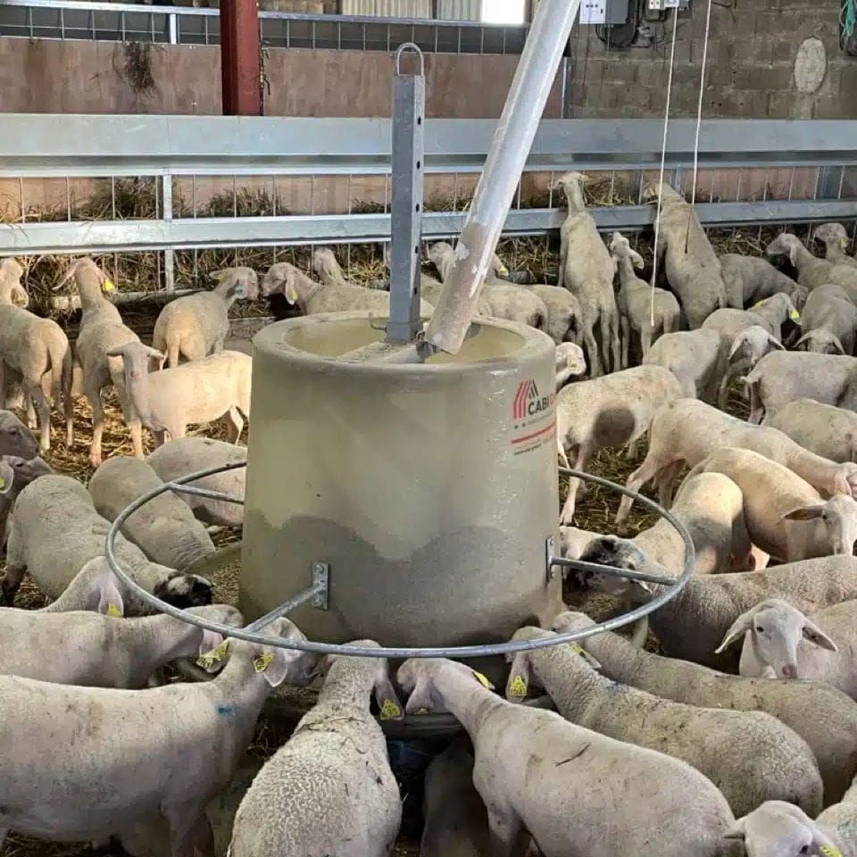 Lamb feeder - CABI GROUP - plastic / galvanized steel / multi-access