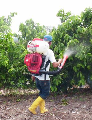 Thermal backpack sprayer - L3 series - Cifarelli - horticulture / small ...