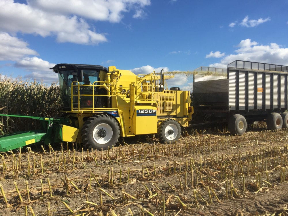 Forage plot harvester - 1250P - RCI Engineering - grass / alfalfa / corn
