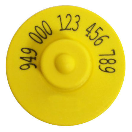 Cattle ear tag - Waikato Milking Systems NZ Ltd. - RFID / plastic