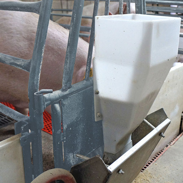 Sow hopper feeder - iFEED - Canarm AgSystems - polypropylene / single ...