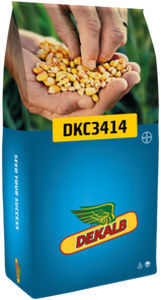 Early corn seed - DKC 3414 - DeKalb - combination / helminthosporiosis ...