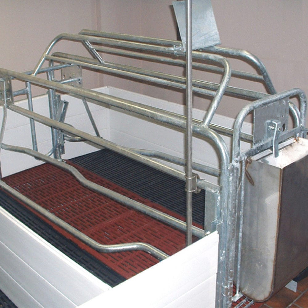 Anti-crush protection farrowing stall - Faromor Ltd